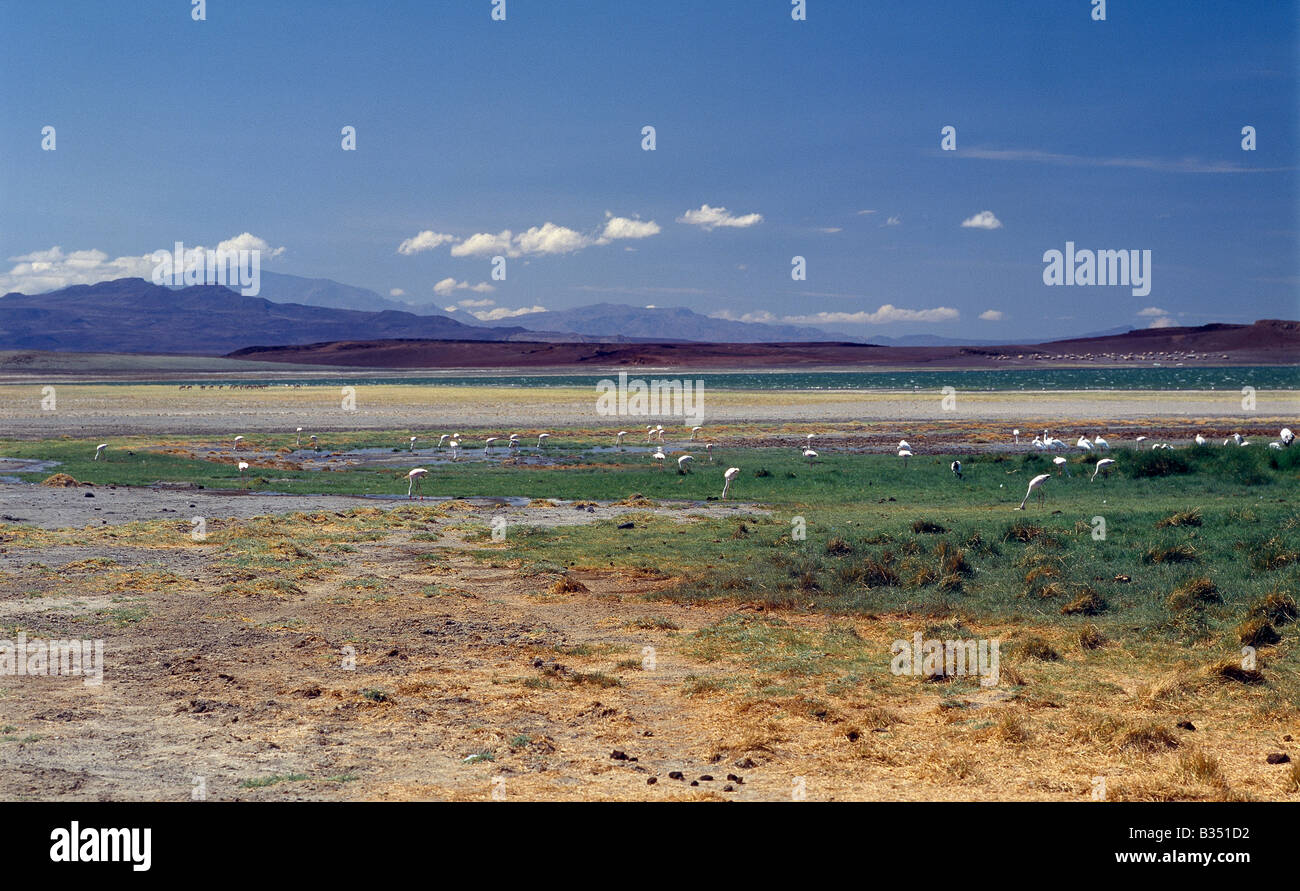 Kenya, Lake Turkana, El Molo Bay. El Molo Bay, situated on the eastern ...