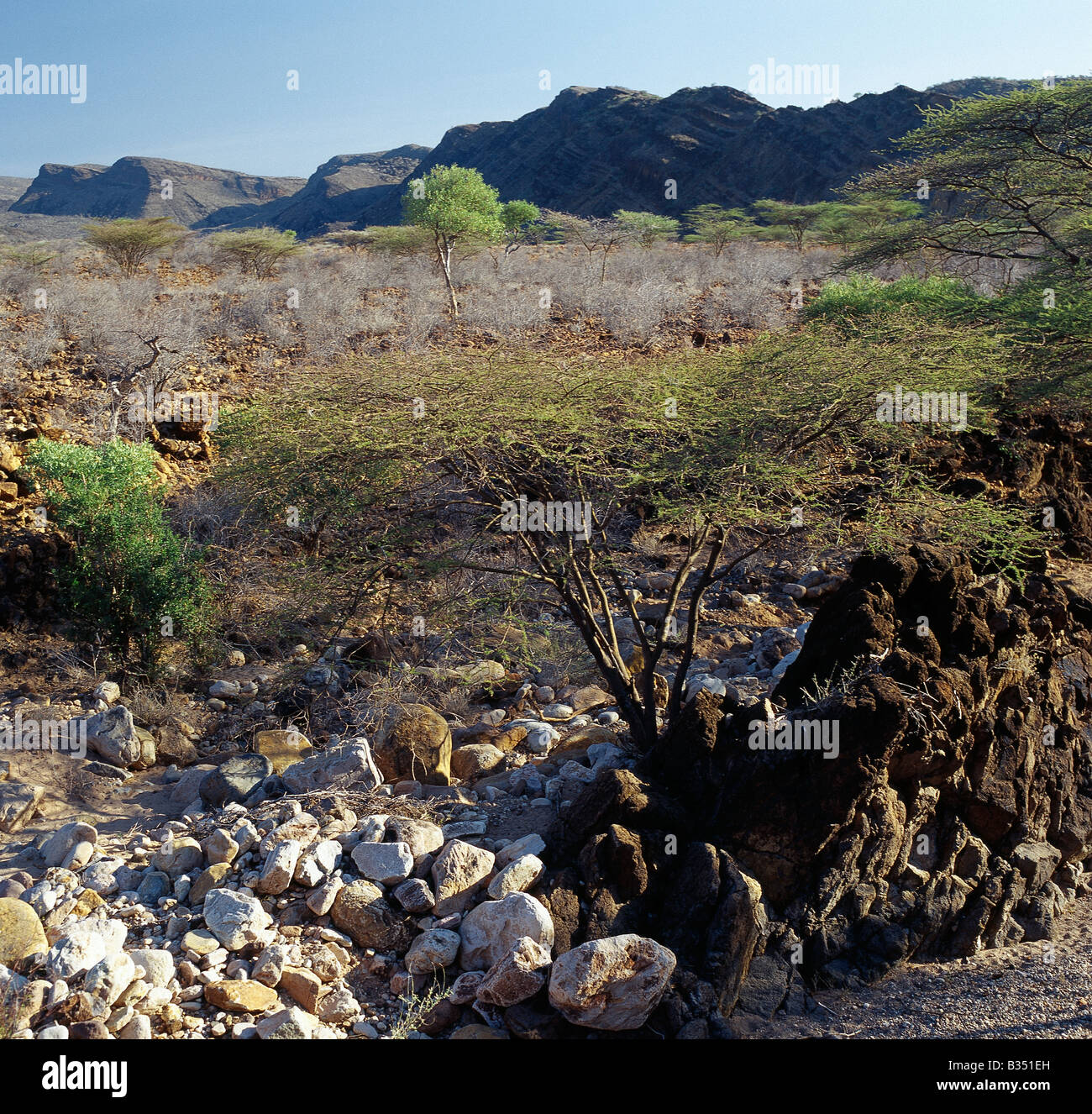 Parkati hi-res stock photography and images - Alamy