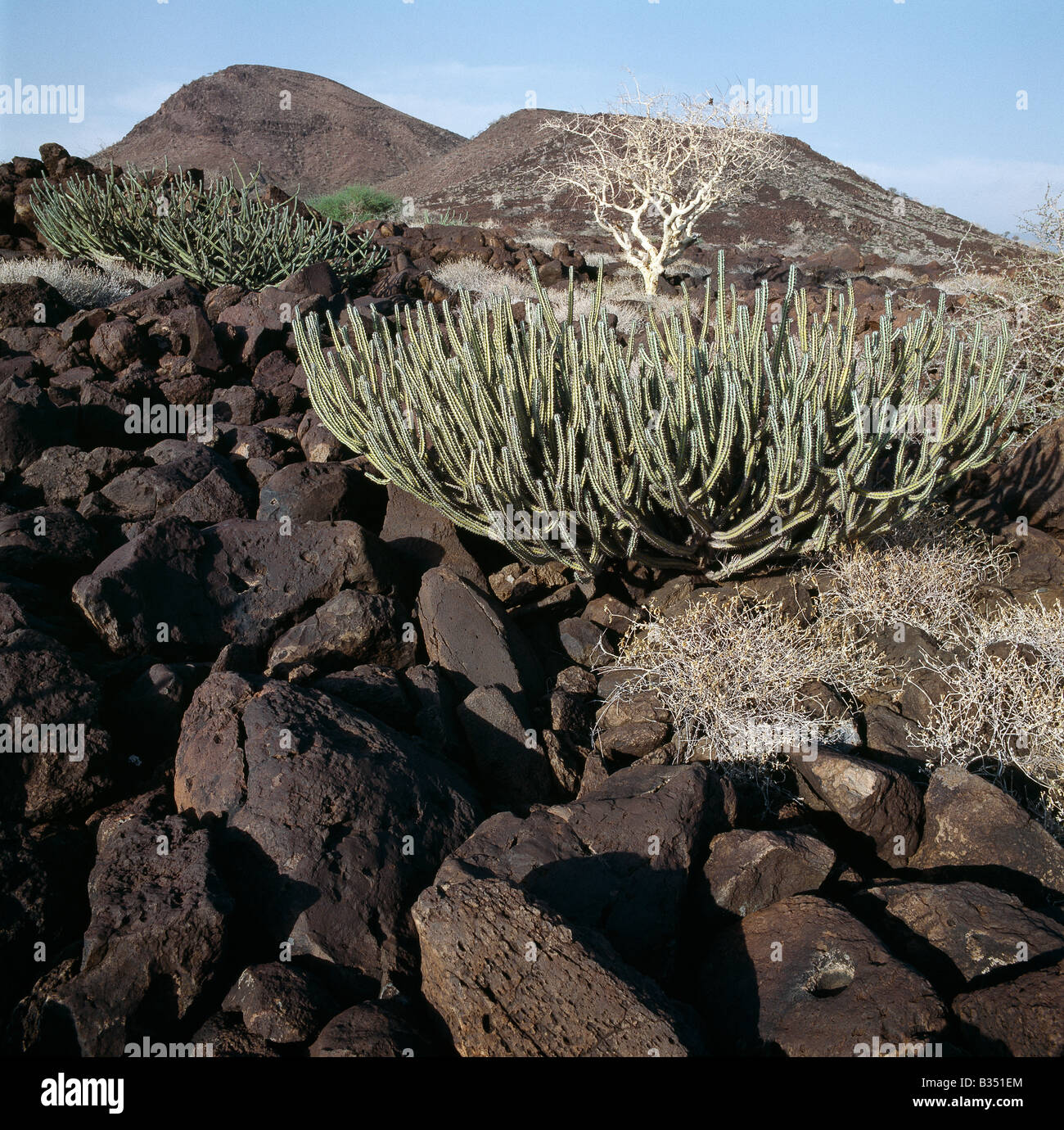 Lake turkana kenya great rift valley hi-res stock photography and ...