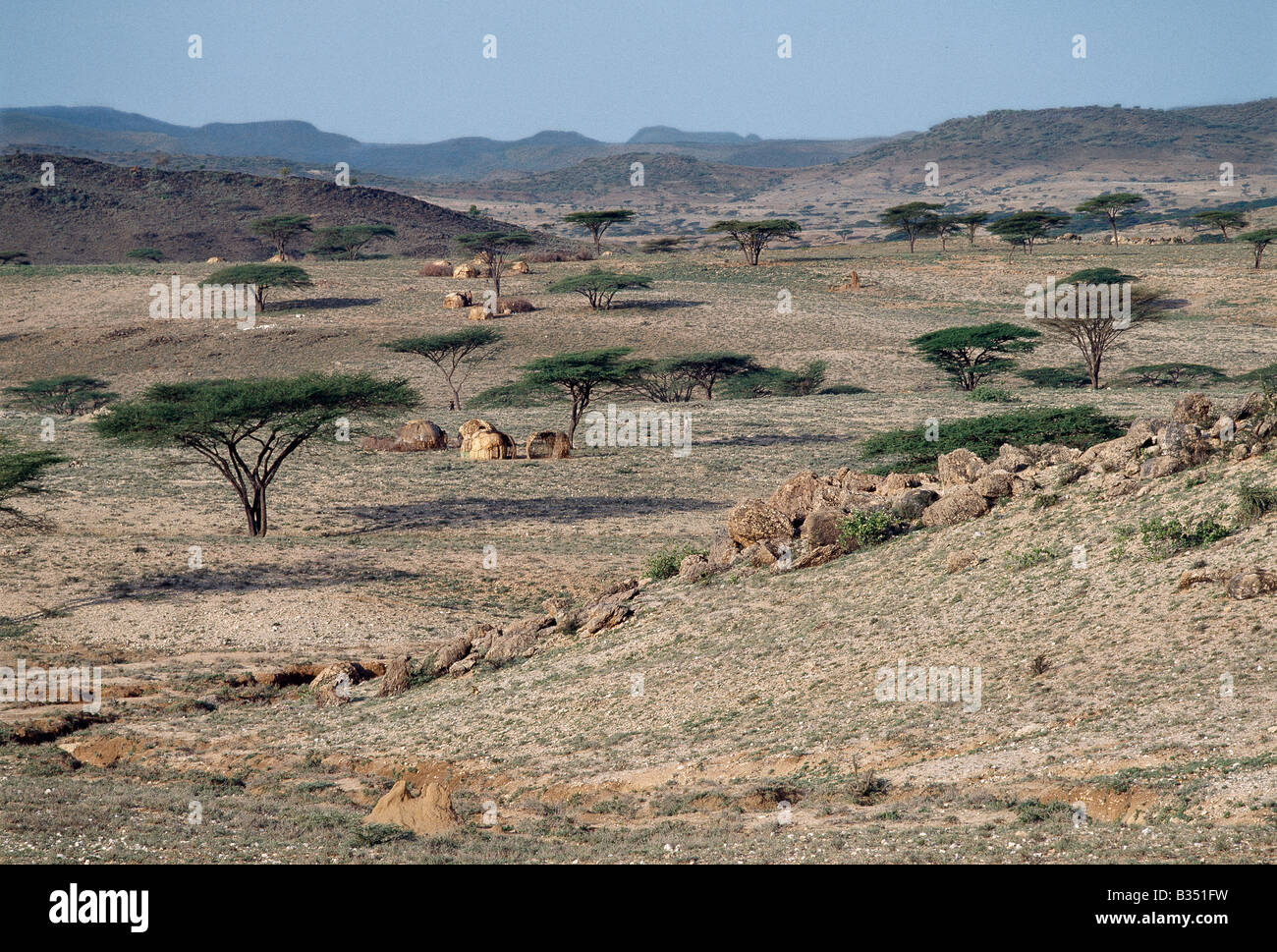 Kenya, Turkana, Nachola. Flat-topped acacia trees and dome-shaped ...
