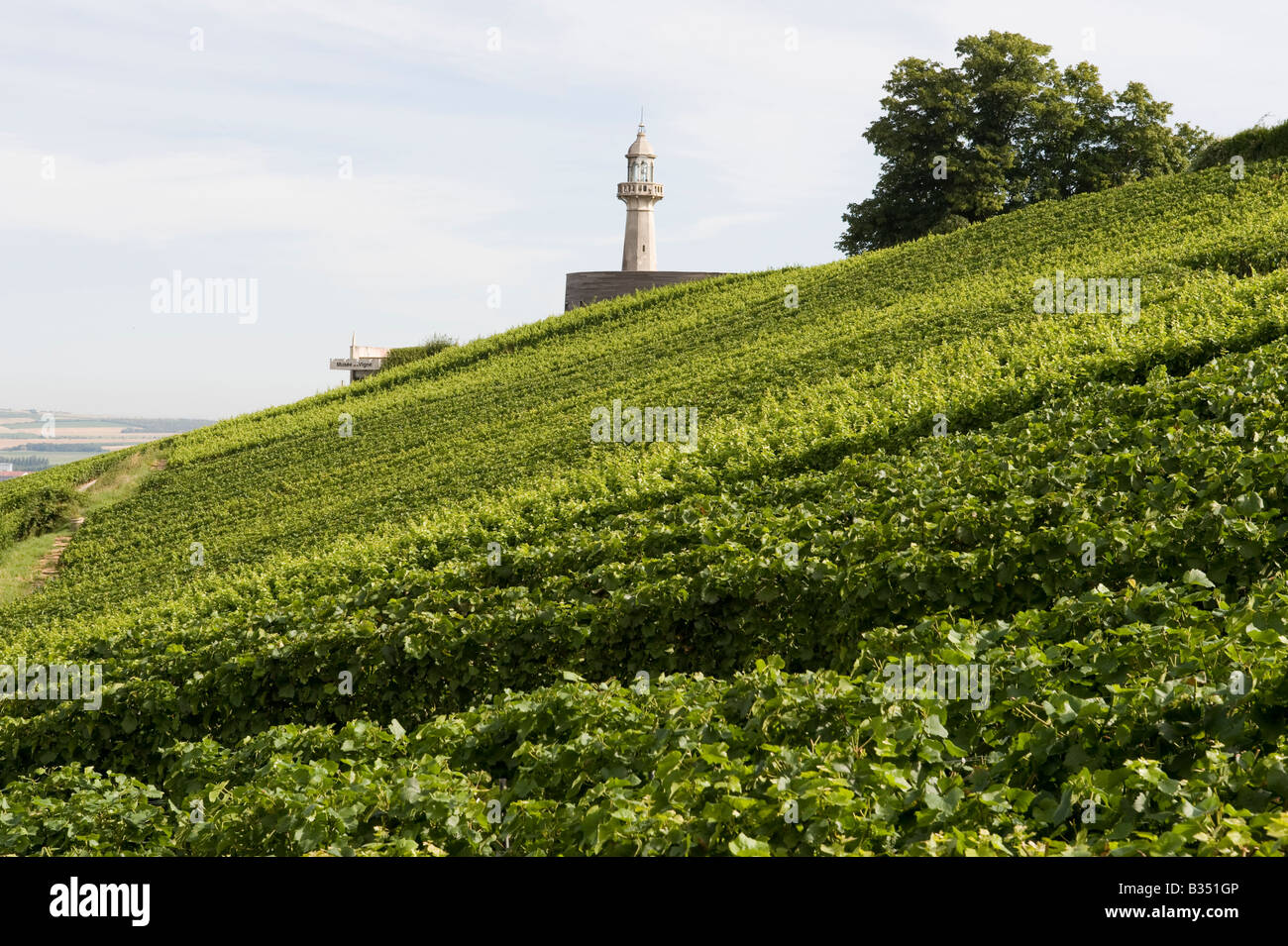 musee de la vigne verzenay france Stock Photo - Alamy