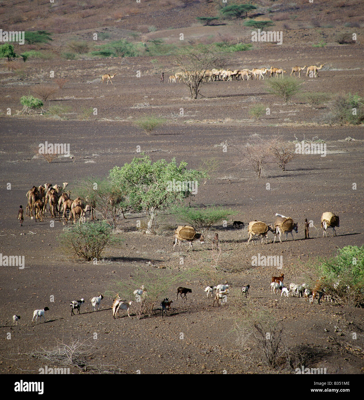 Kenya, Turkana, Lokori. The nomadic Turkana move their stock camps ...