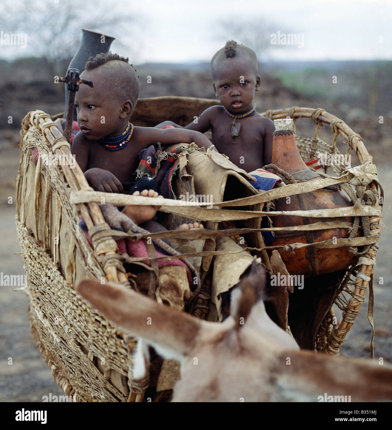 Kenya, Turkana, Kapedo. Donkeys are indispensable beast of burden ...