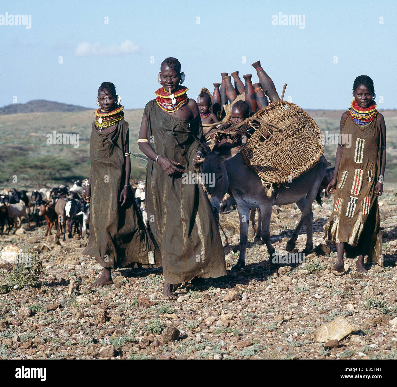 Kenya, Turkana, Nachola. Donkeys are indispensable beast of burden ...