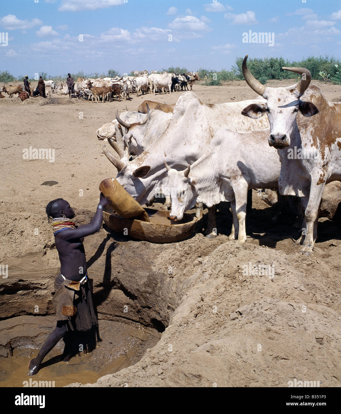 Pastoral Societies