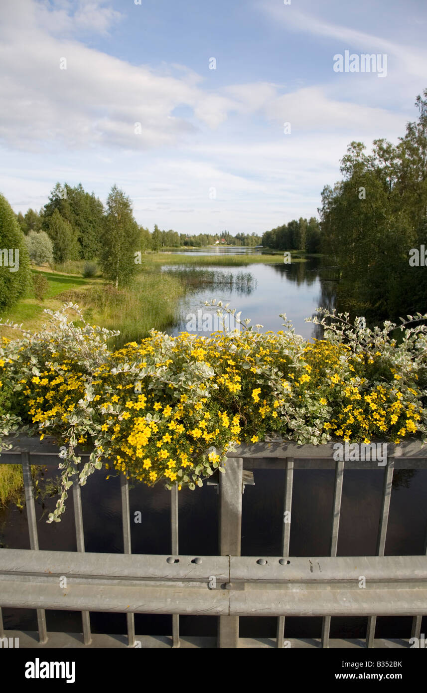 Yellow flowers blooming on bridge parapet , Finland Stock Photo - Alamy
