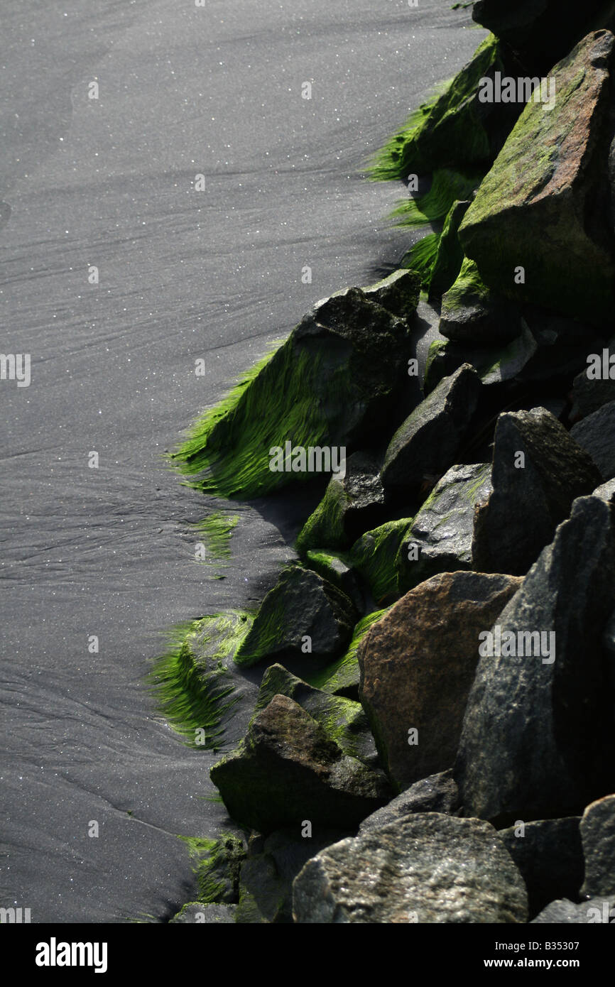 Rocks covered with algae on the seashore Stock Photo - Alamy