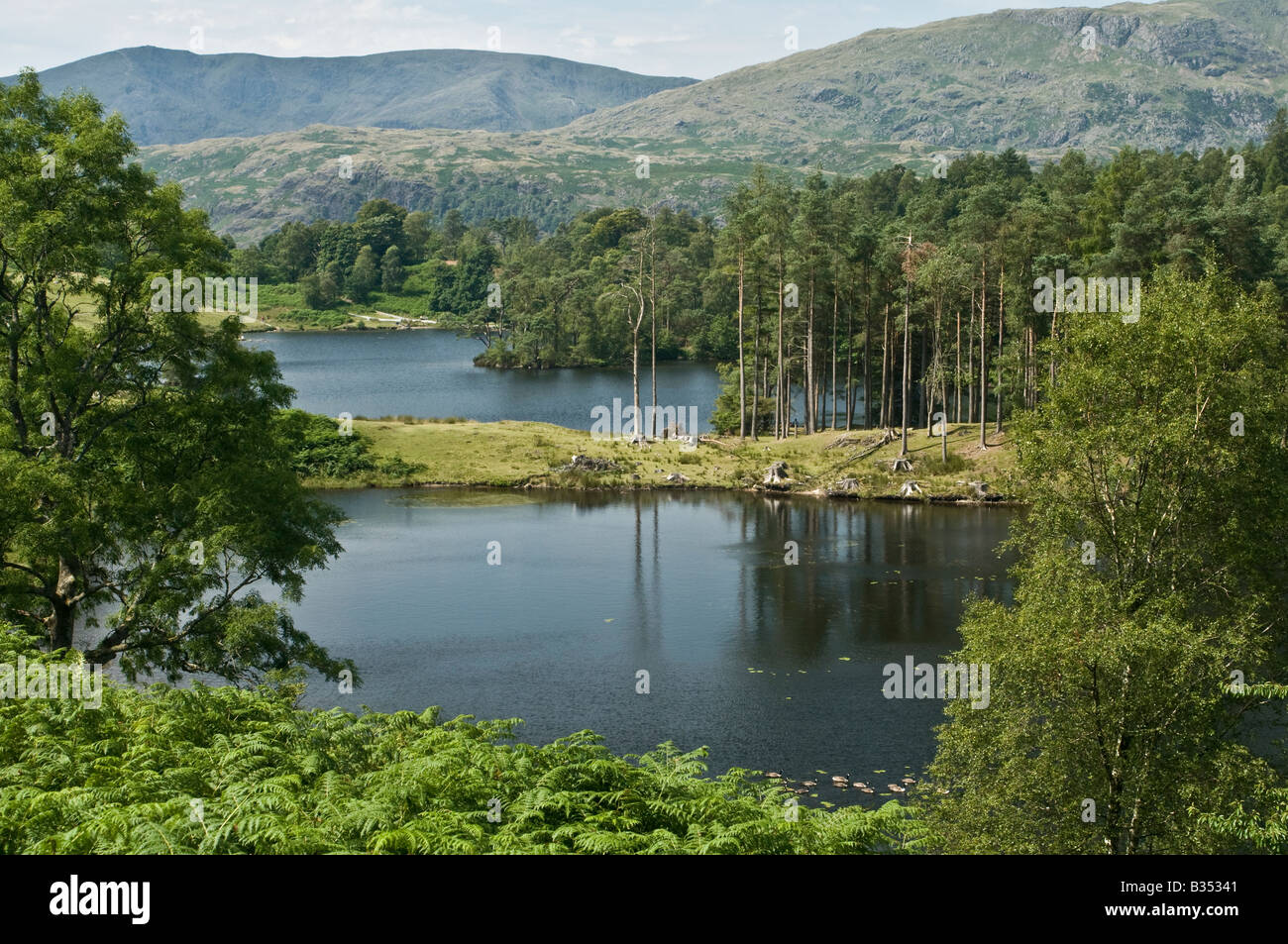 View of Tarn Hows lake in the Lake District National Park showing ...