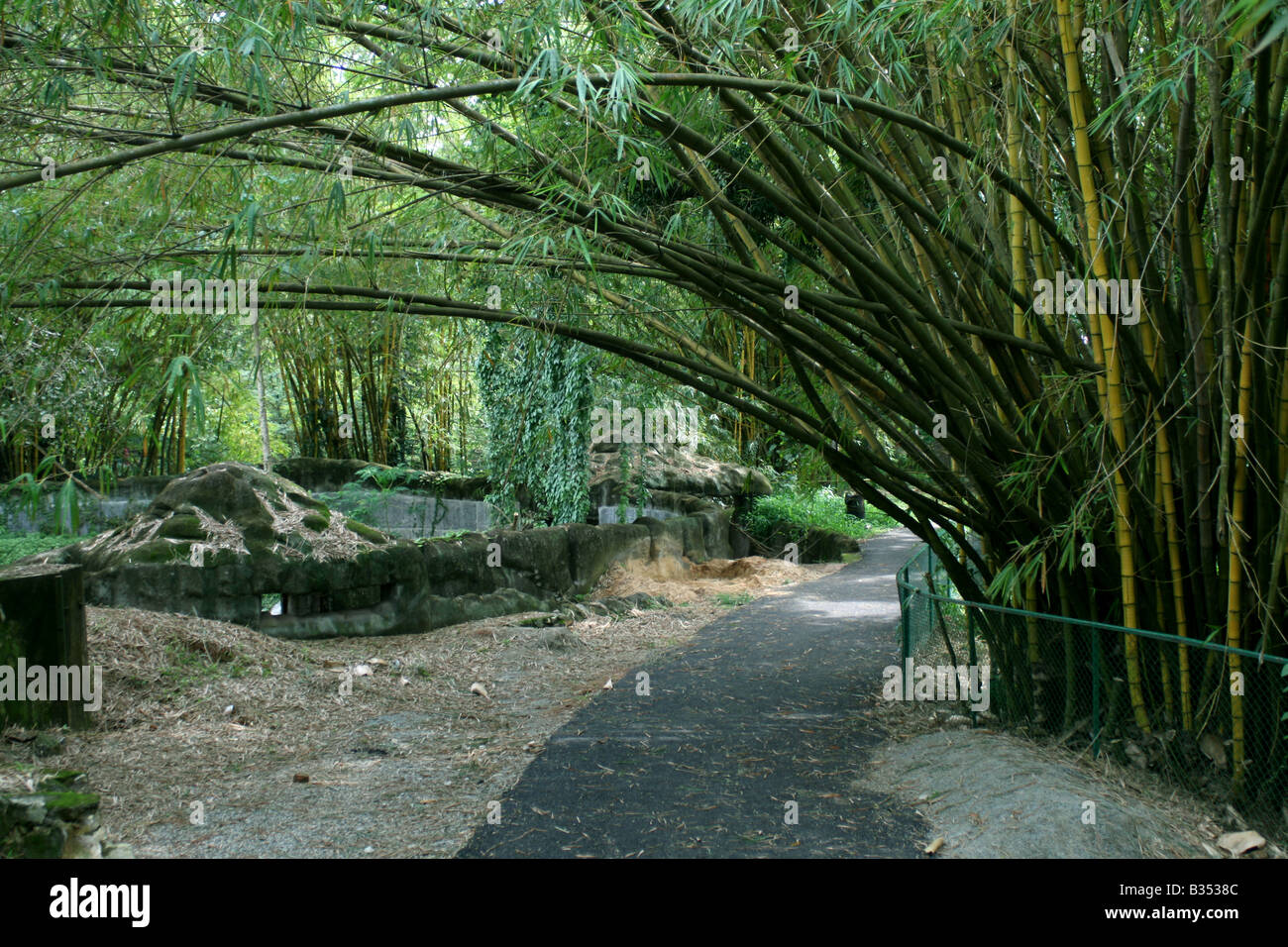 A strolling path inside the Trivandrum Zoo Stock Photo - Alamy