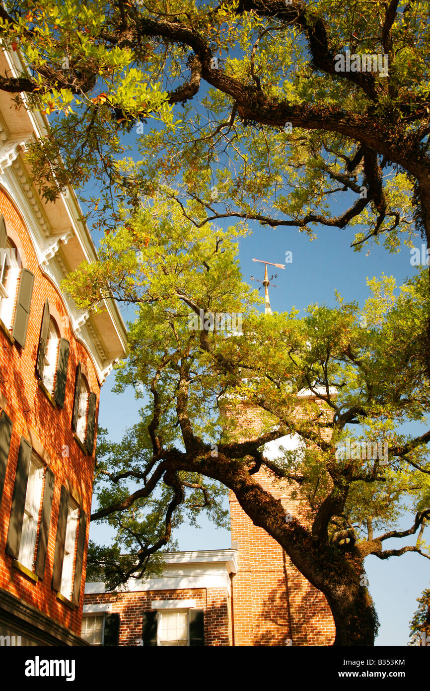 Clock tower, Historic Georgetown, South Carolina Stock Photo - Alamy