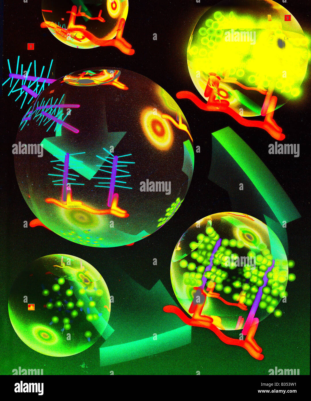 computer generated medical DNA images enclosed in transparent globes ...