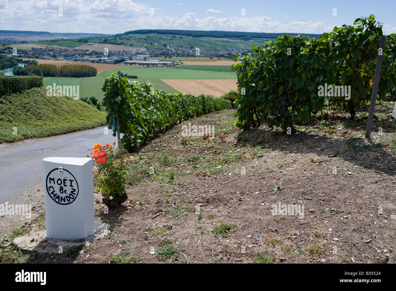 moet and chandon sign on vineyard at Hautvillers france Stock Photo - Alamy