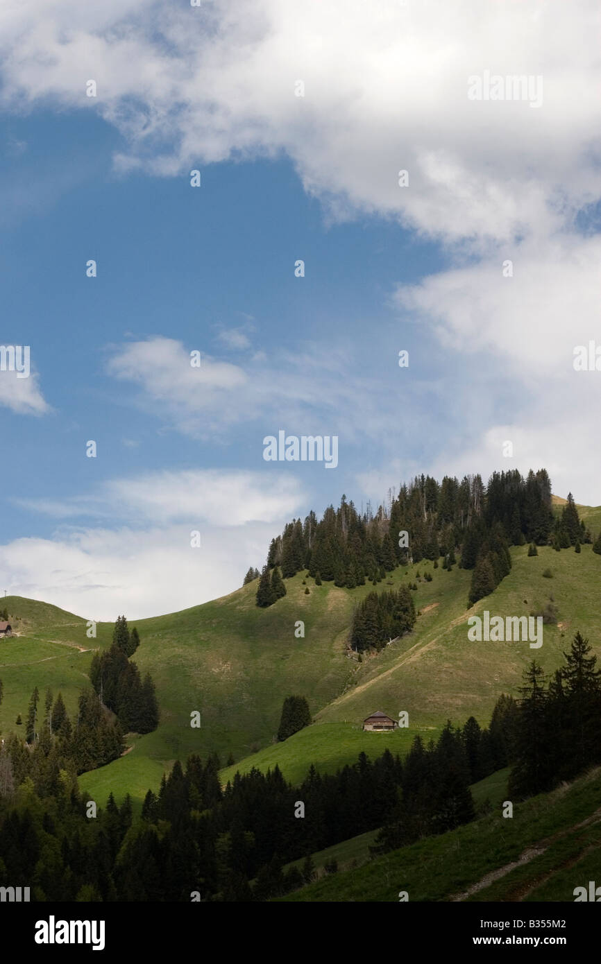Landscape of high mountain pasture Stock Photo - Alamy