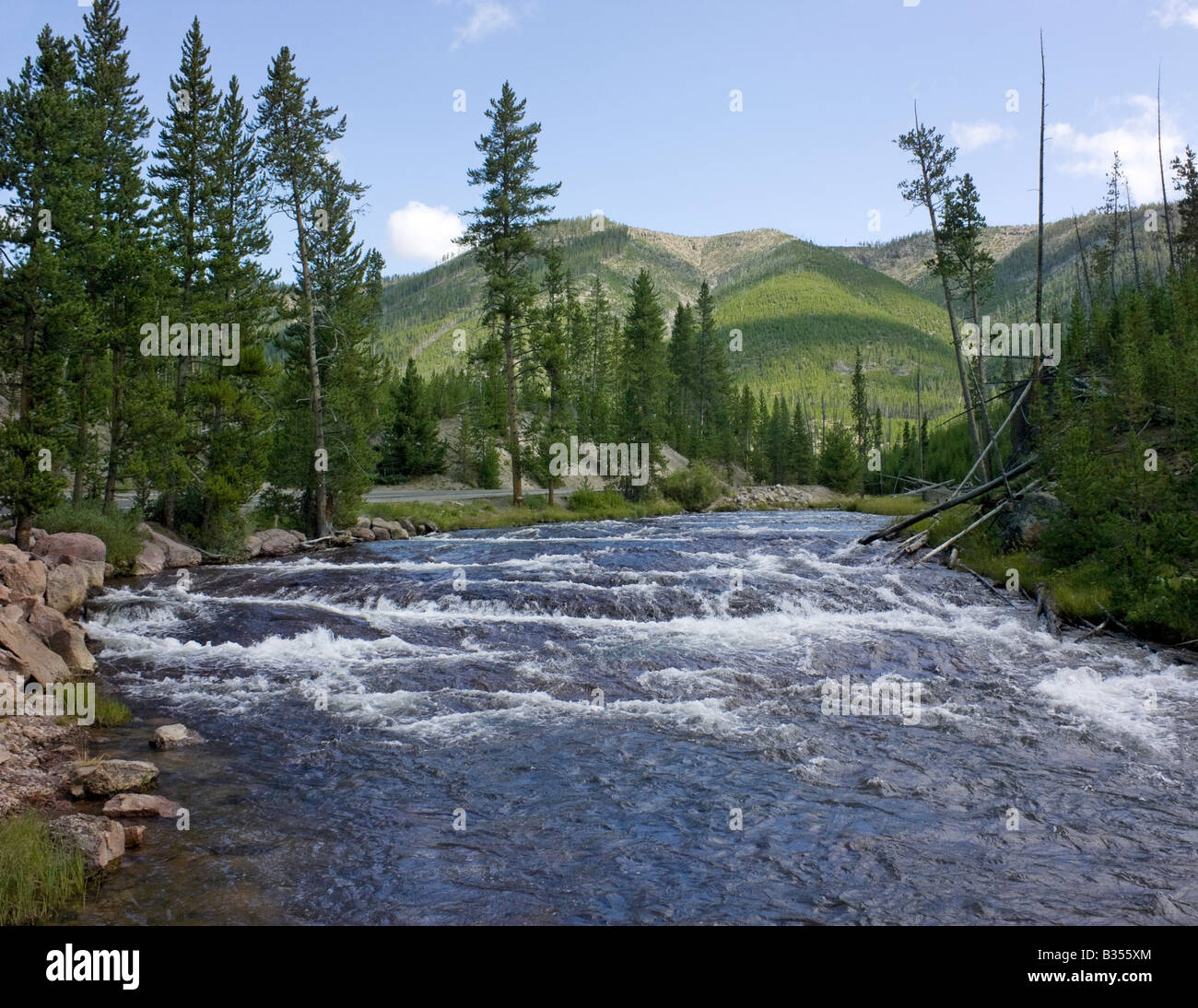 Gibbon River rapids in Yellowstone National Park Stock Photo - Alamy