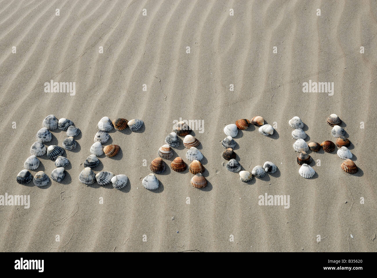 The word beach written into the sand with seashells Stock Photo - Alamy