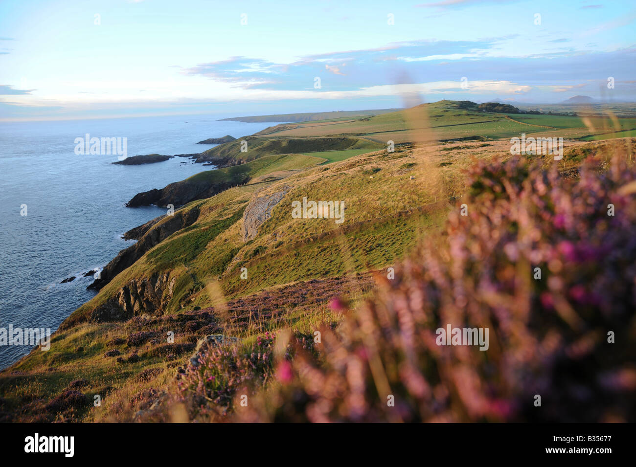 Rocky coastline of the Llyn Peninsula, Wales Stock Photo - Alamy