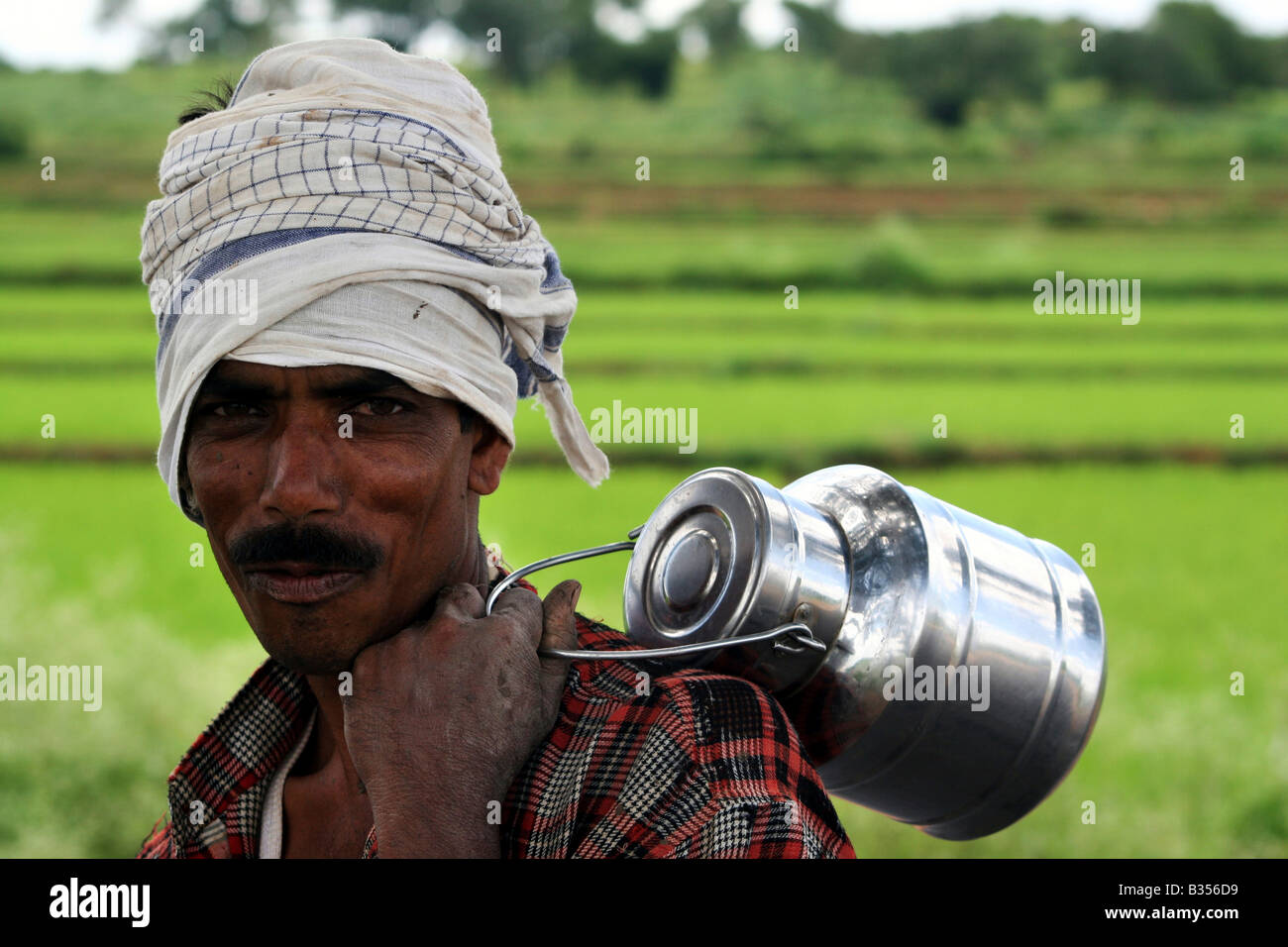 An indian man with his tiffin box strolls along past paddy fields south ...