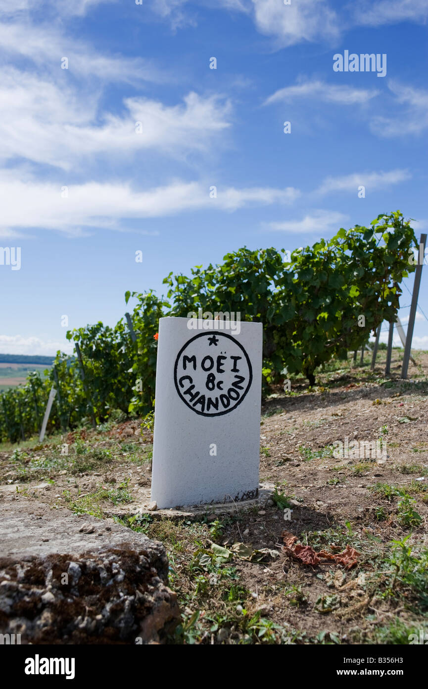 moet and chandon sign on vineyard at Hautvillers champagne ardenne ...