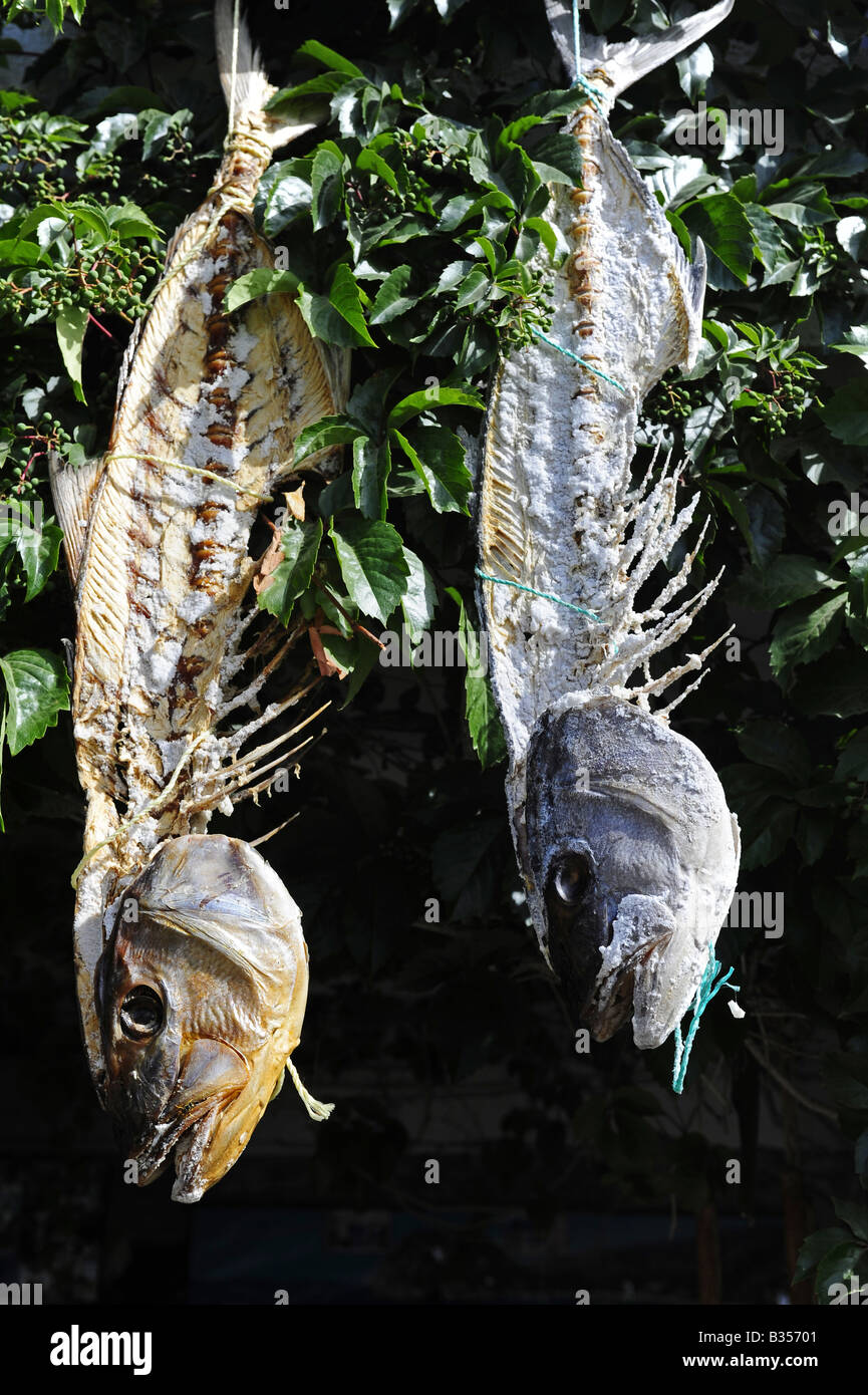 Hayit buku hi-res stock photography and images - Alamy