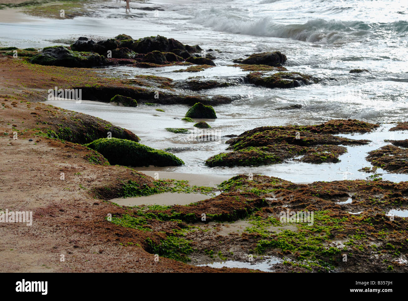 Turtle Beach O ahu Hawaii Stock Photo - Alamy