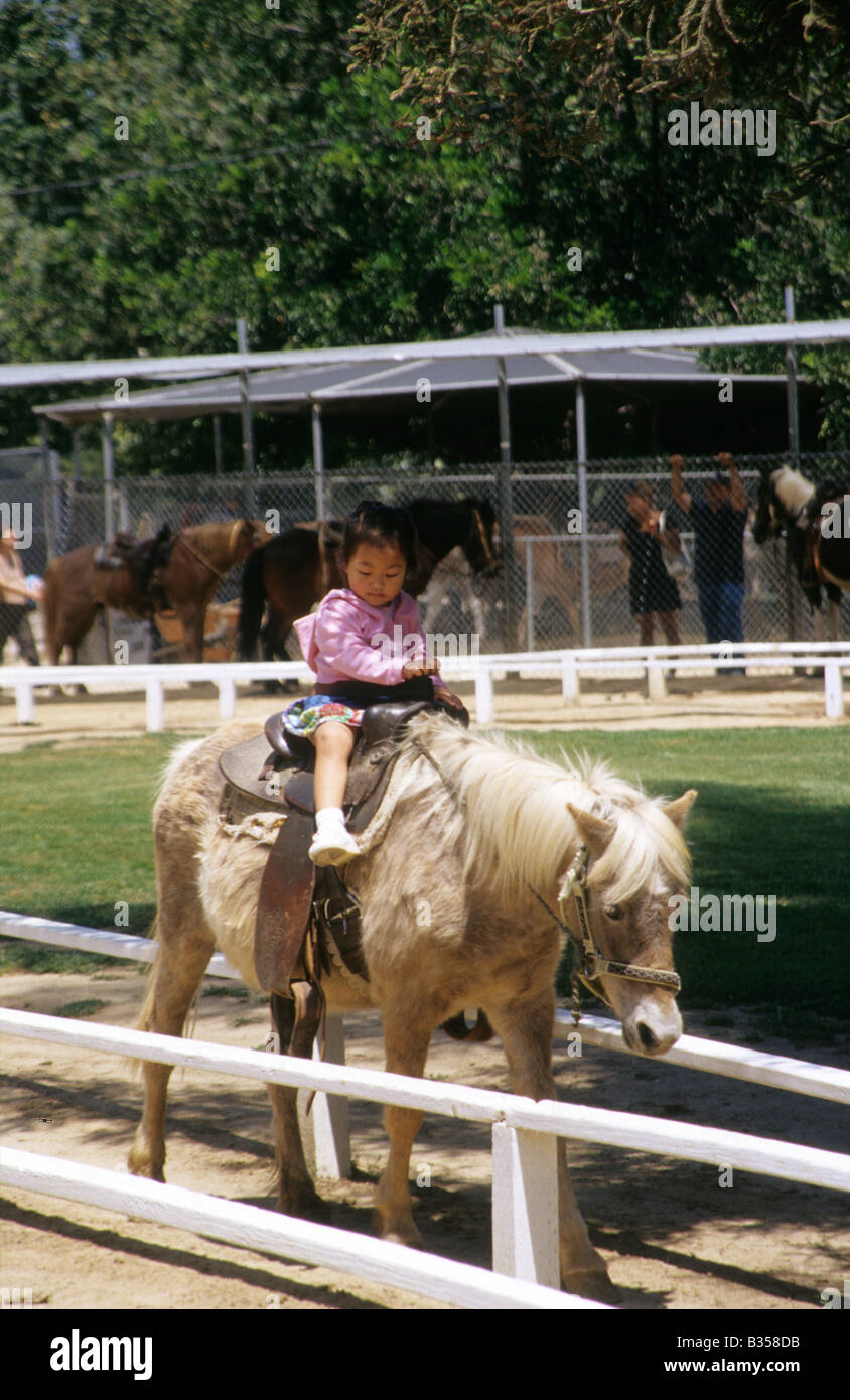 Griffith Park Pony Rides Birthday