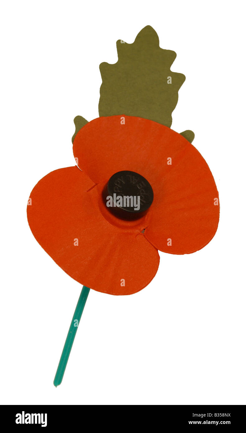 Cut Out of a remembrance day poppy flower Stock Photo - Alamy