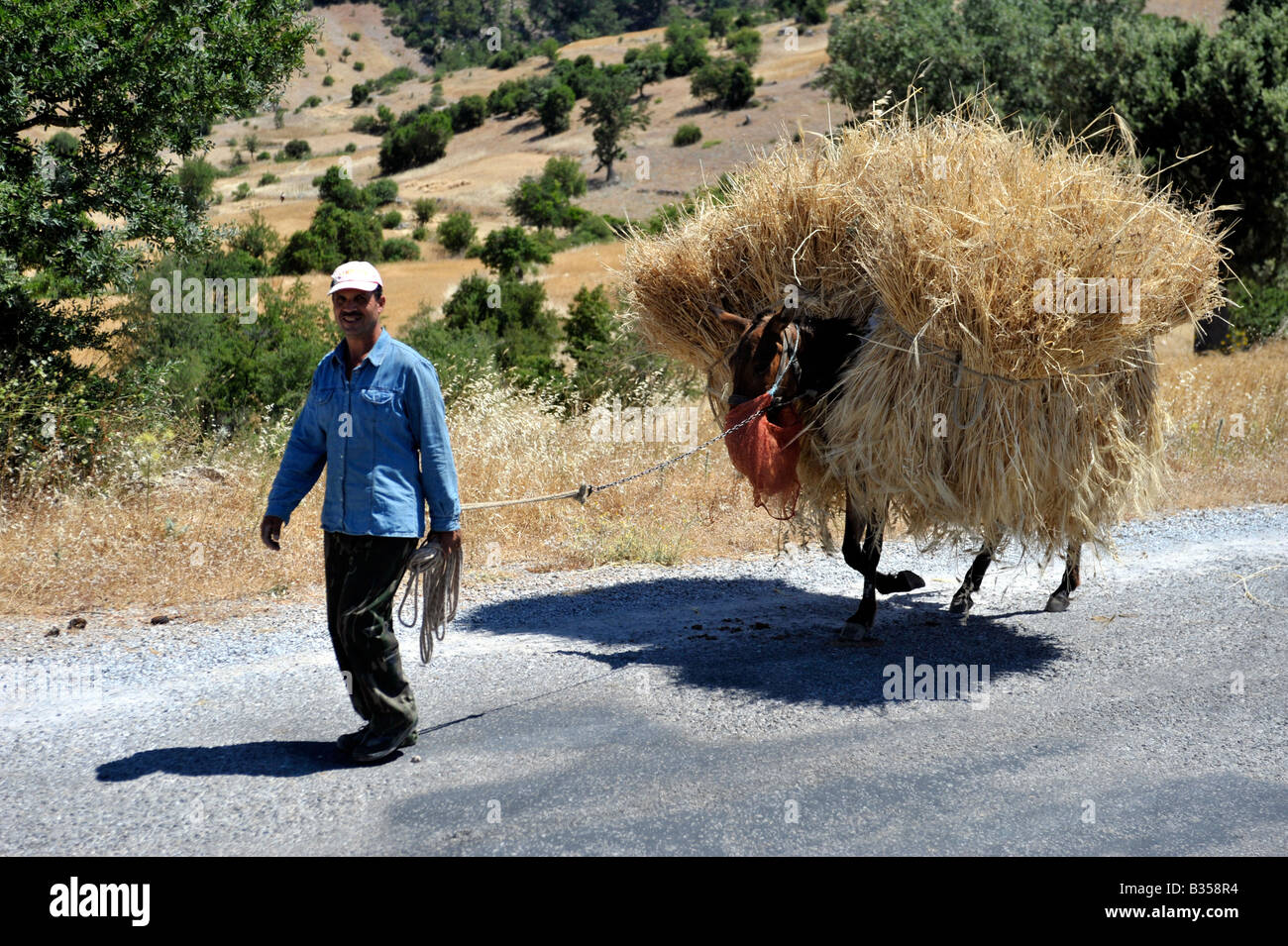 Turkish Farmer leading donkey along roadway laden with straw Stock ...