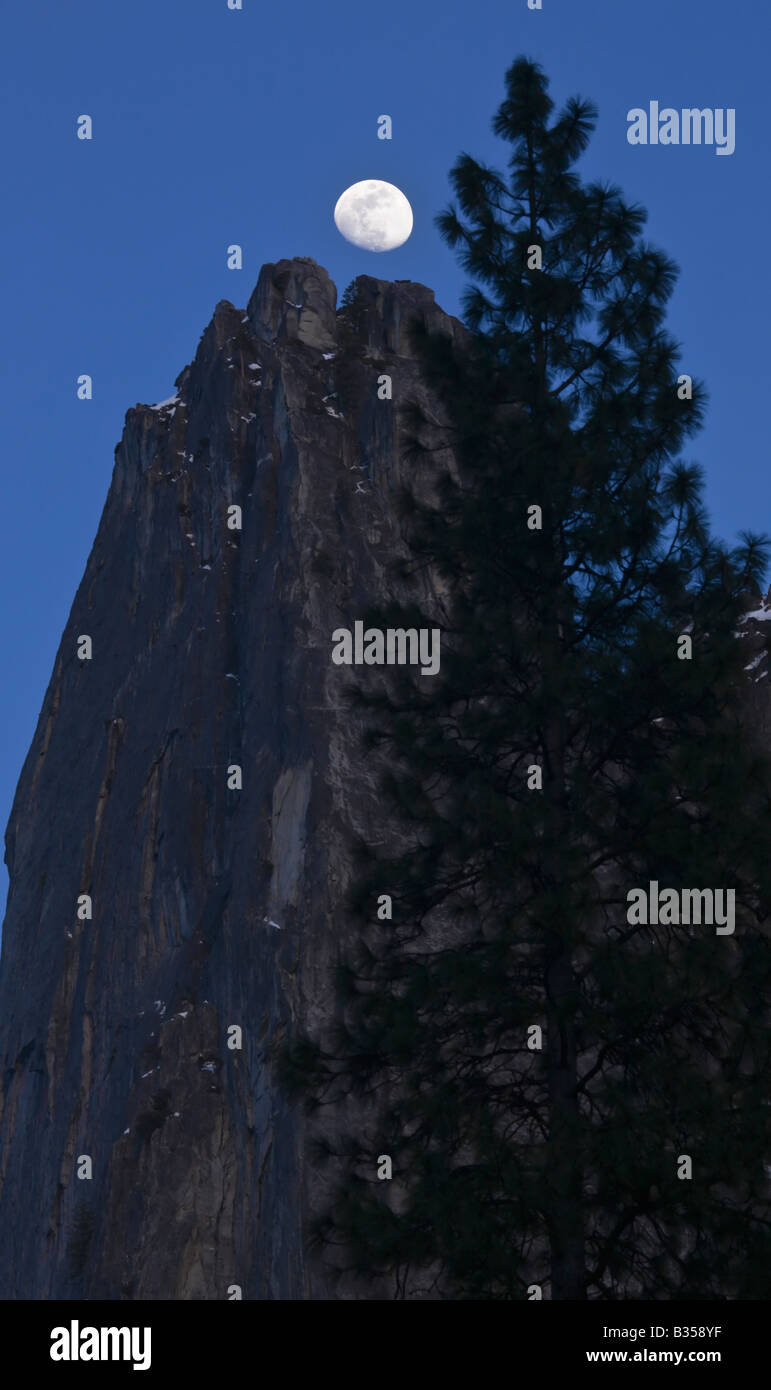 Full moon dusk pine hi-res stock photography and images - Alamy