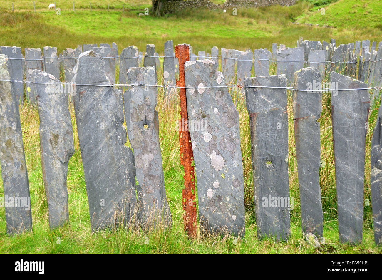 Sheep fold hi-res stock photography and images - Alamy