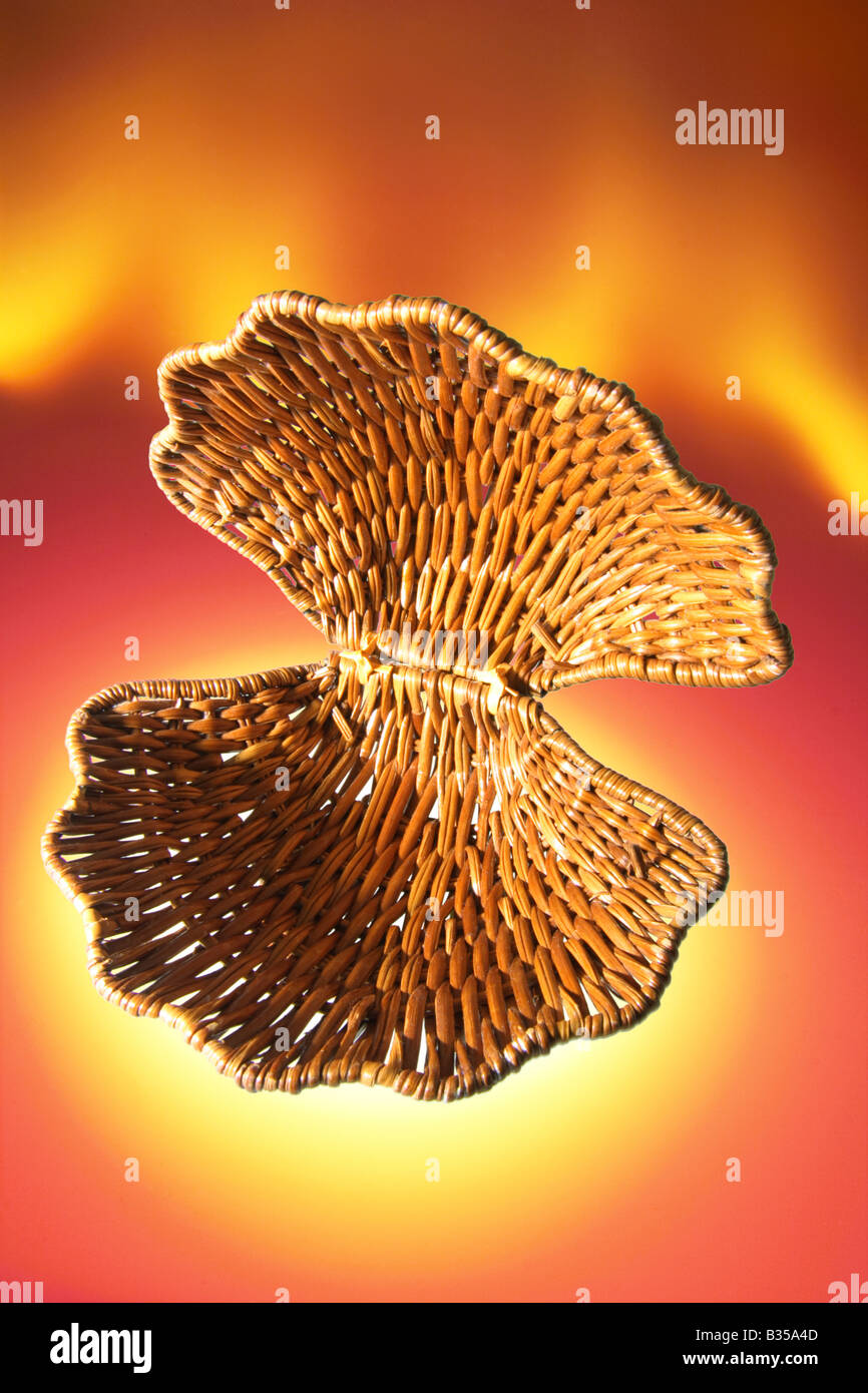 Clam shape hi-res stock photography and images - Alamy
