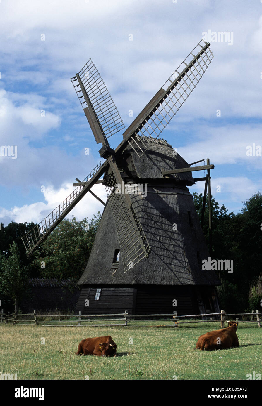 Denmark Odense Den Fynske Landsby The Funen village windmill Stock ...