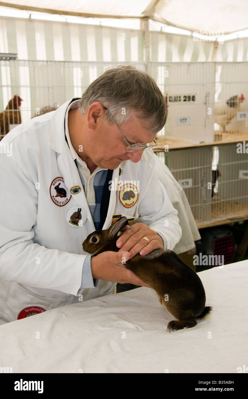Rabbit show hi-res stock photography and images - Alamy