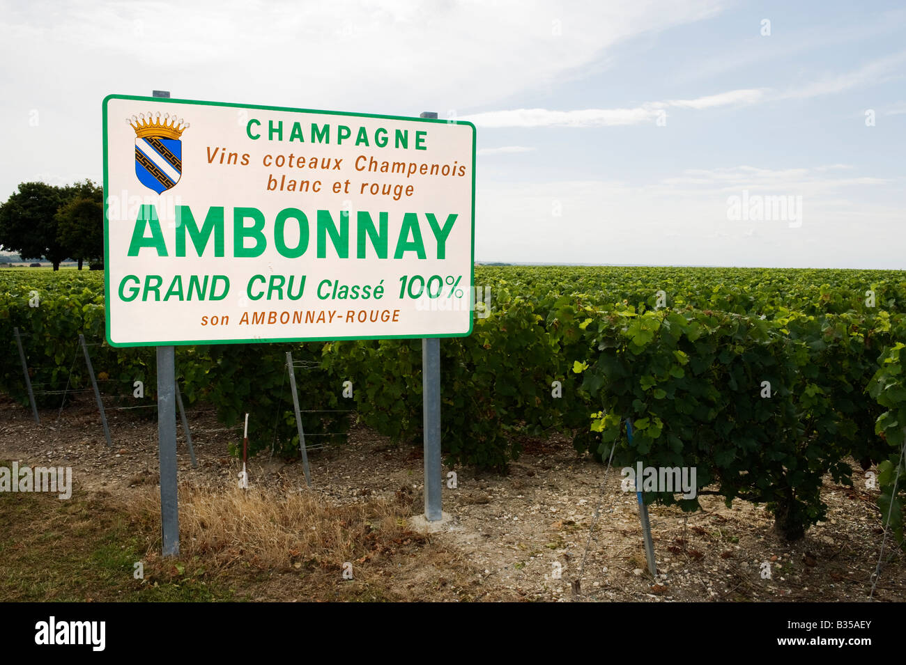champagne ambonnay sign and vineyard france Stock Photo - Alamy