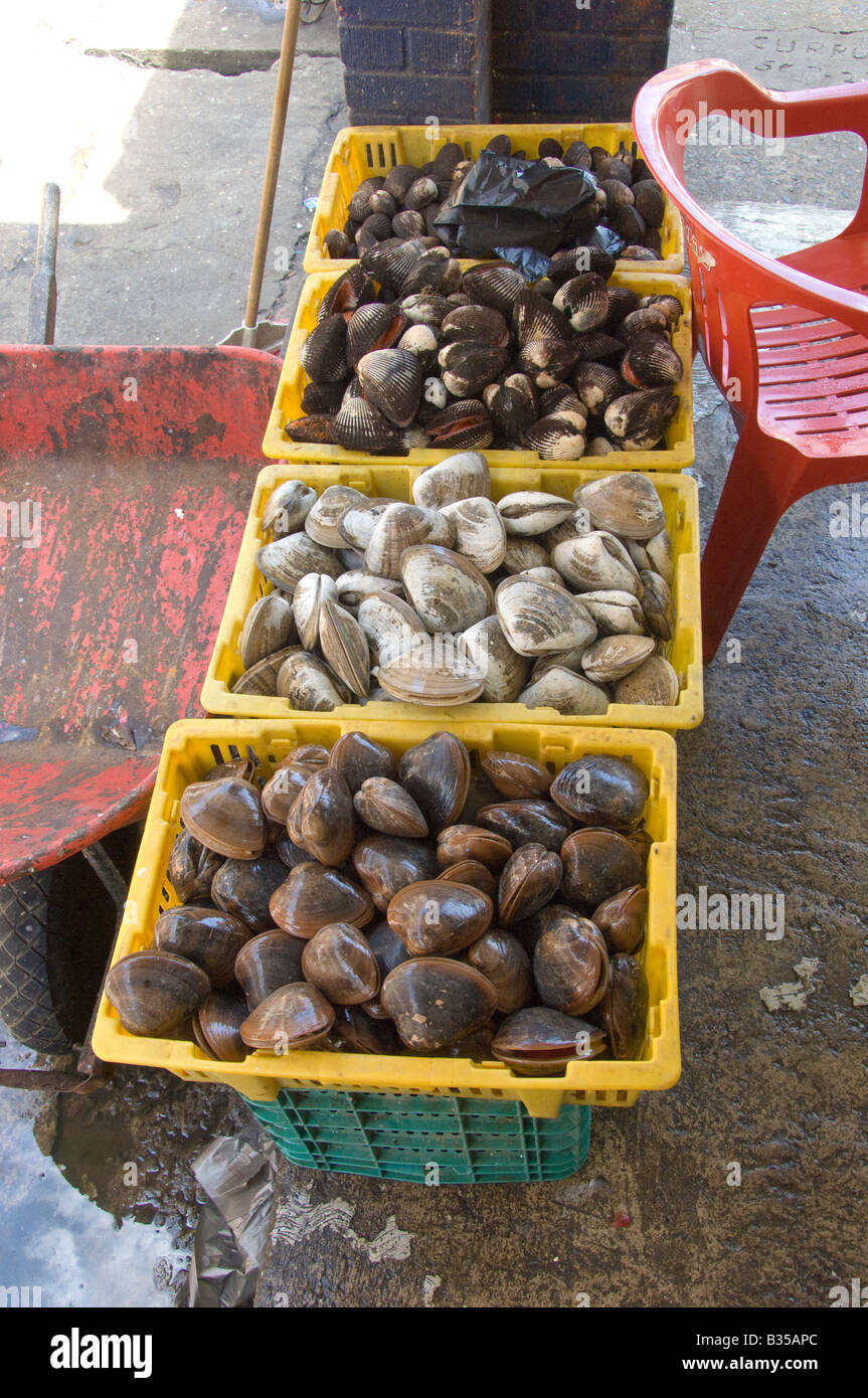 Ensenada Fish Market on the Wharf by the Harbor Stock Photo - Alamy