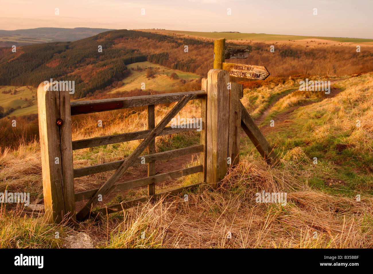 Sutton Bank North York Moors England Stock Photo - Alamy