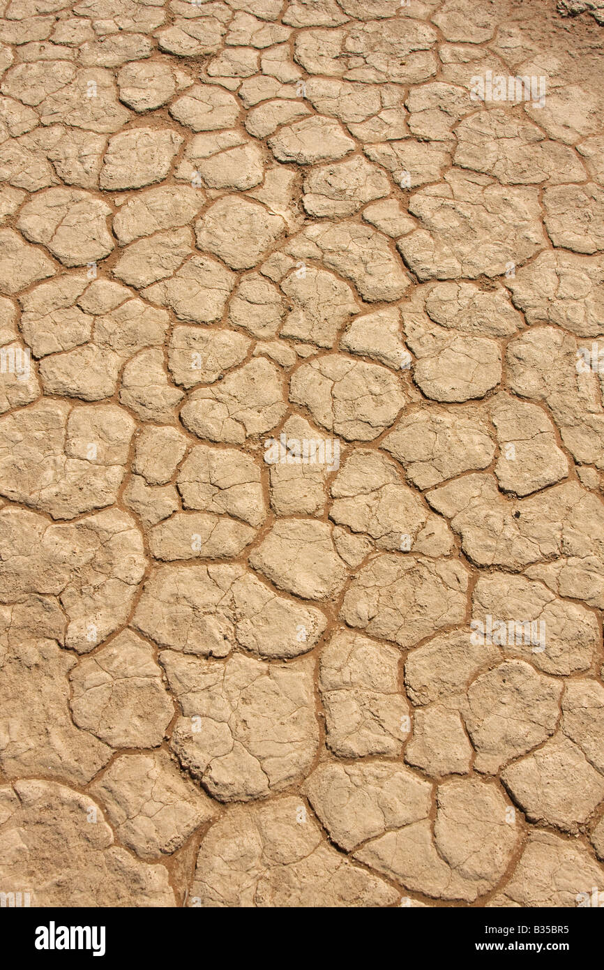 Cracked mud makes patterns in limestone of Dead Vlei a salt pan left ...