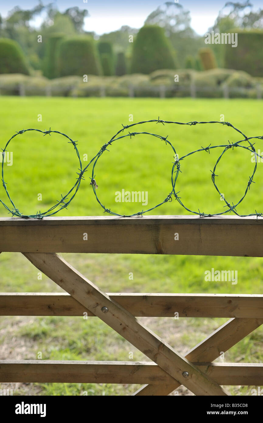 barbed wire on a gate Stock Photo - Alamy