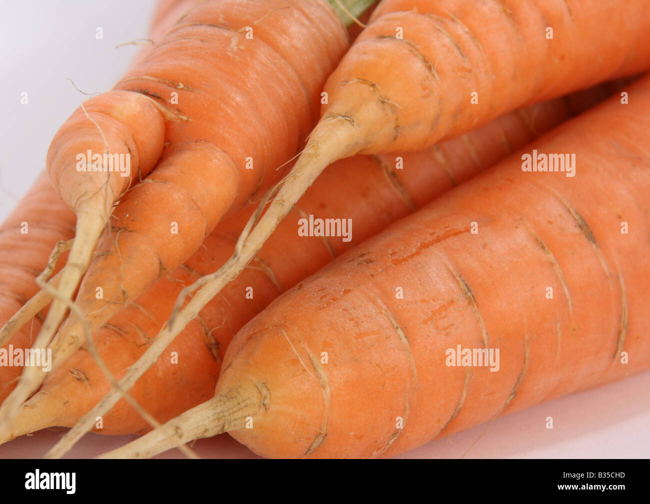 home grown organic carrots Stock Photo - Alamy
