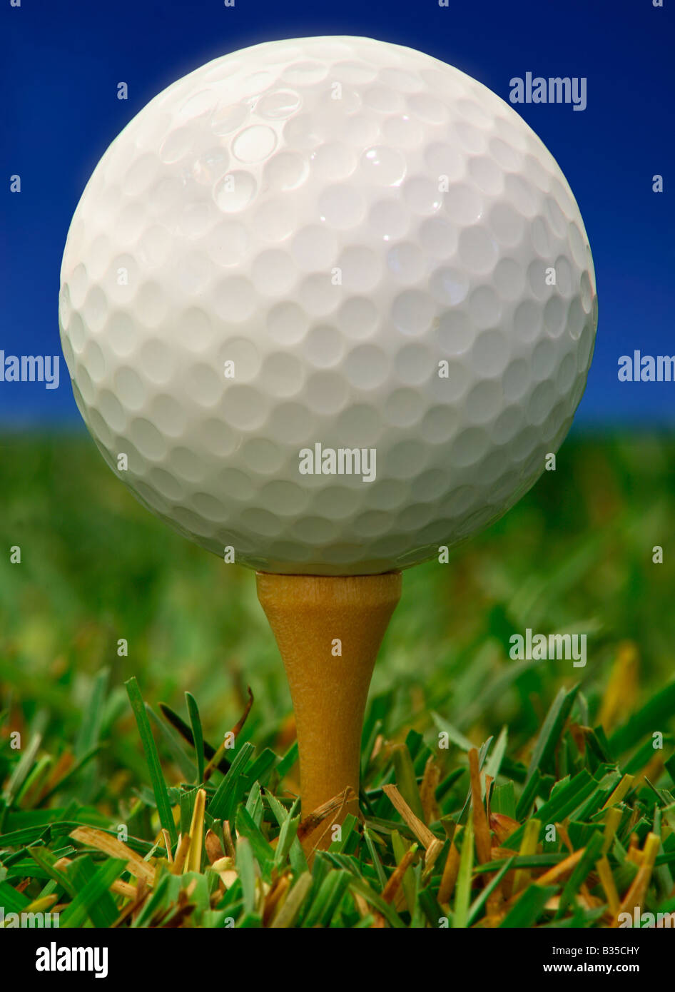 This is a close up of a Golf Ball on a Tee Stock Photo - Alamy
