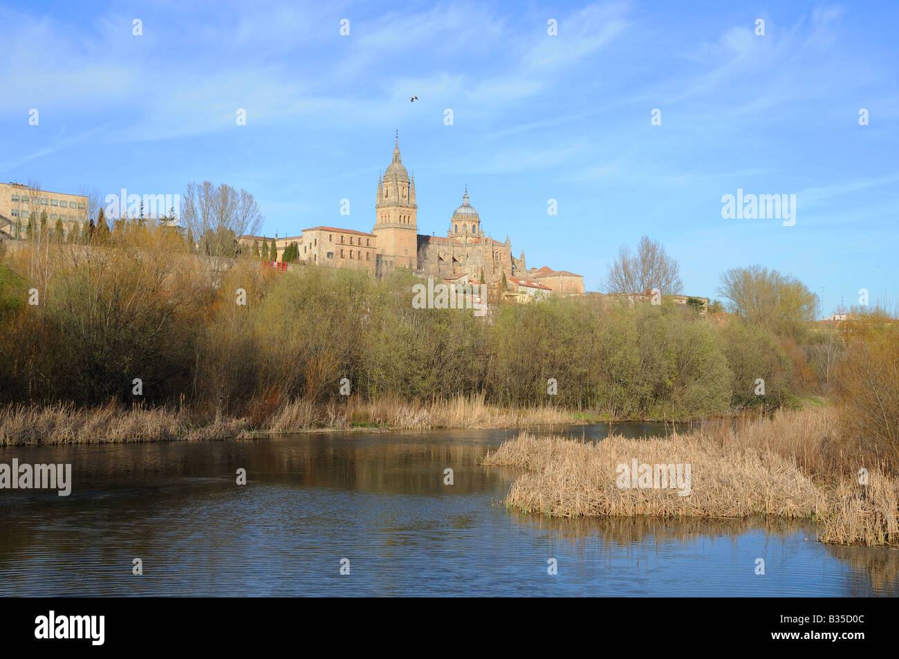 Rio River Tormes with the New and Old Cathedrals Catedral Nueva Vieja ...
