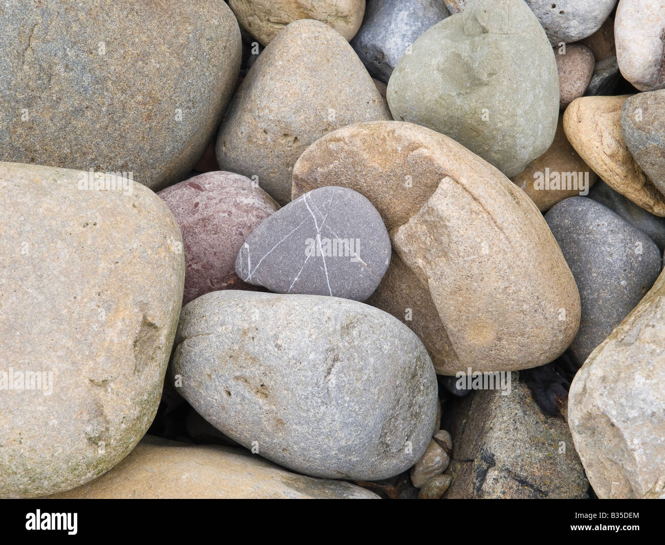 Shingle pebbles stones hi-res stock photography and images - Alamy