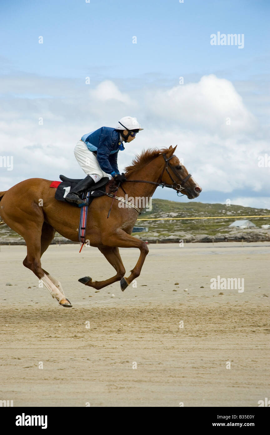 Point to point horse races hi-res stock photography and images - Alamy