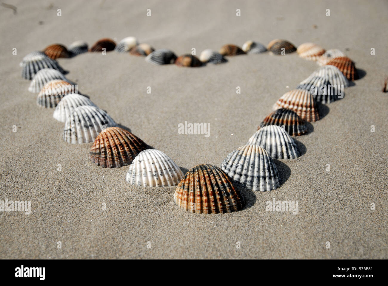 Heart made of shells in the sand Stock Photo - Alamy