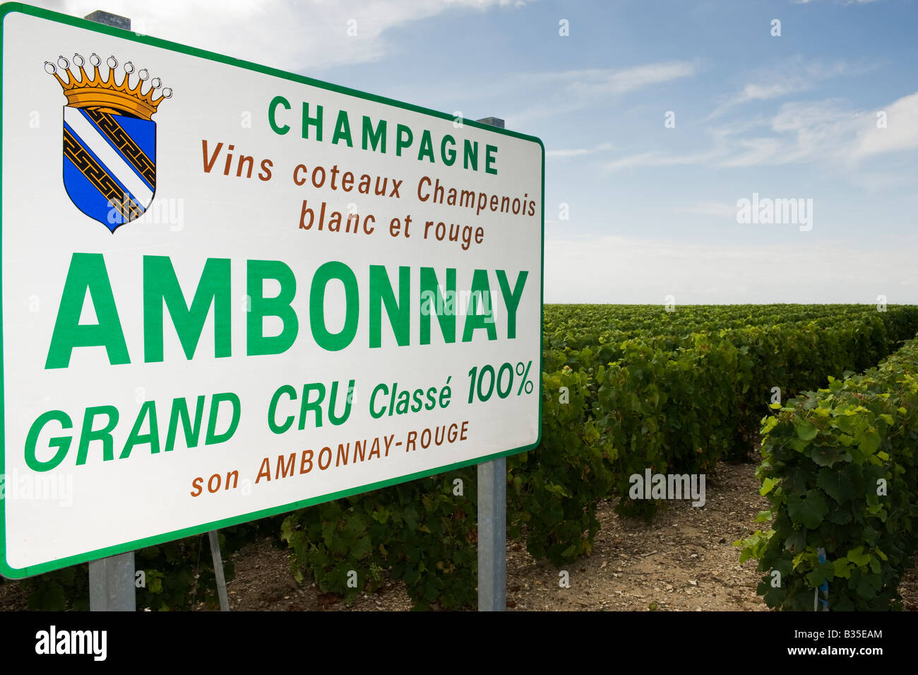 champagne ambonnay sign and vineyard france Stock Photo - Alamy