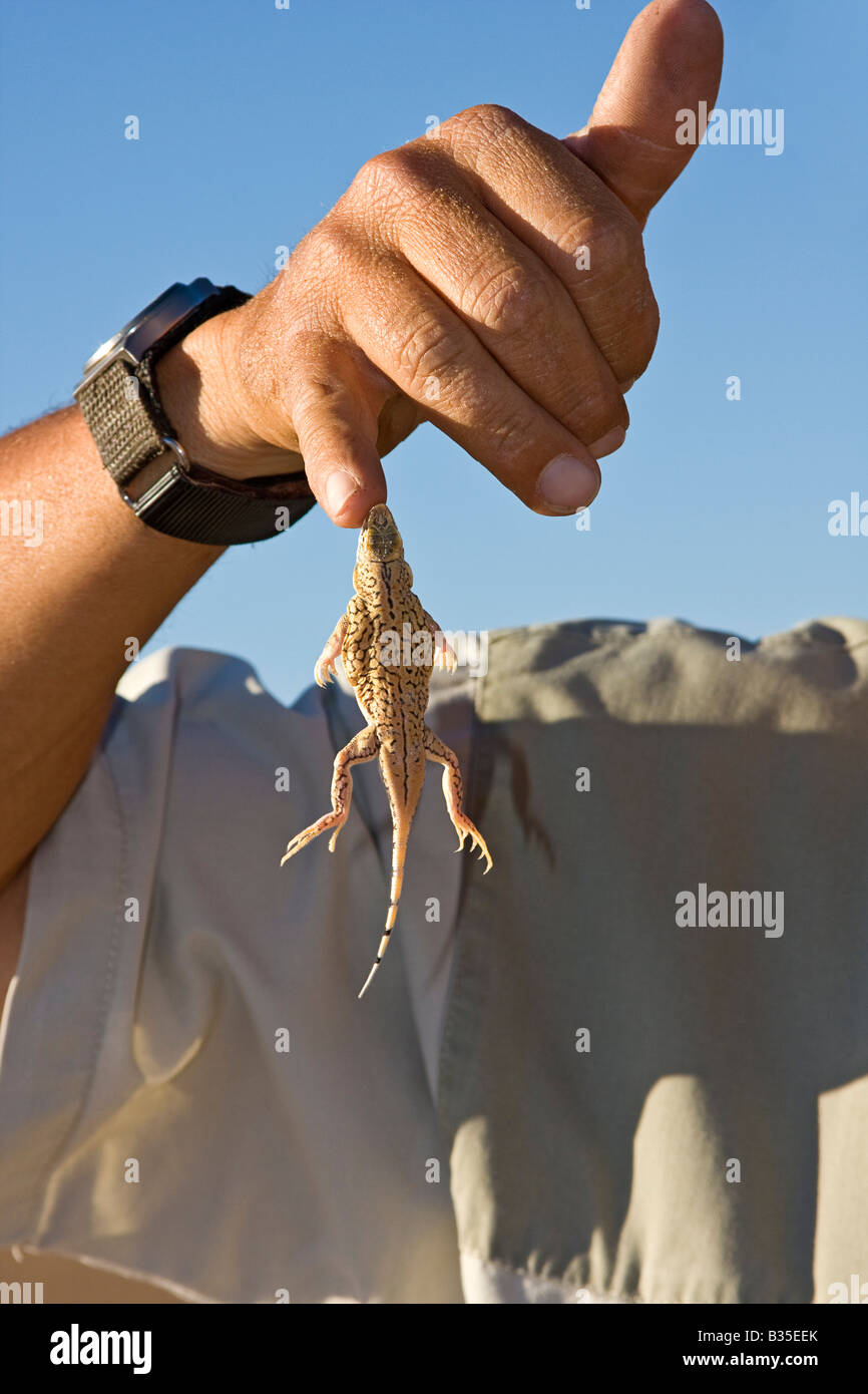 Dangle hi-res stock photography and images - Alamy