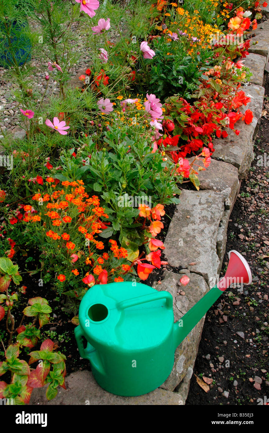 A green watering can stands on a flowerbed border amidst flowers in a ...