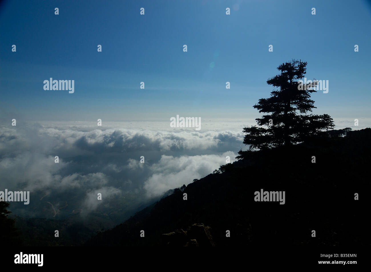 A picture of a landscape Stock Photo - Alamy