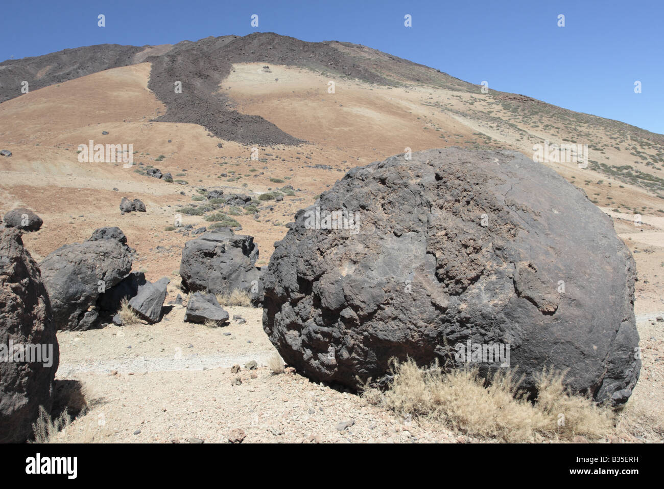 Teide eggs on a bed of pumice or as it is scientifically called an ...
