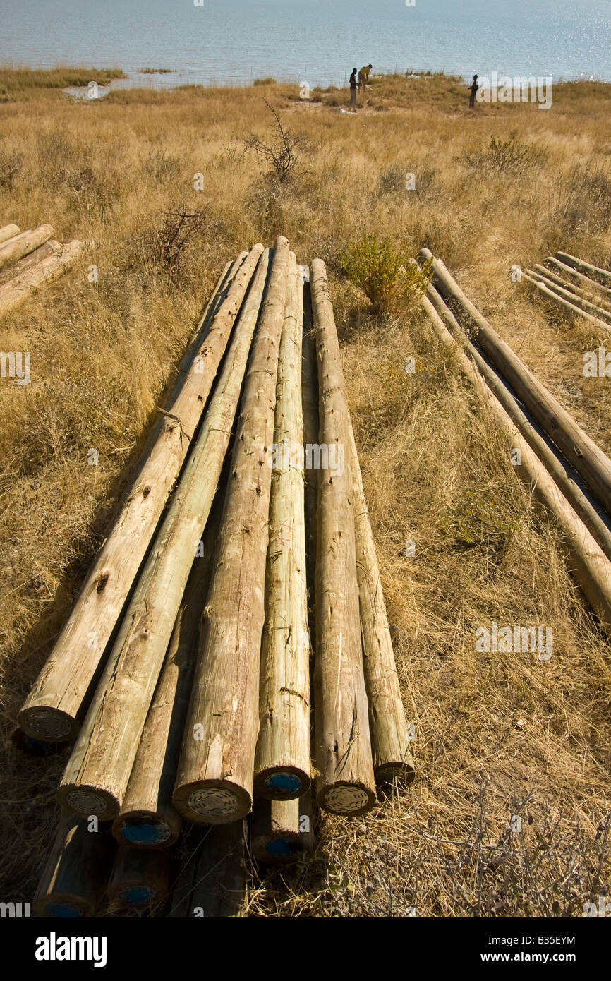 Poles for partially built cabins of newest NWR lodge Onkoshi Camp in ...