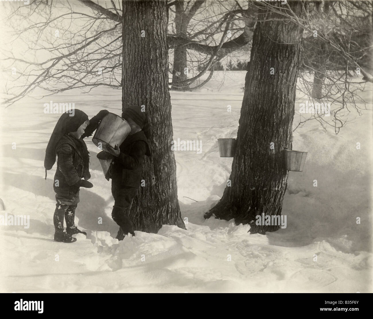 Circa 1930 photo of two young boys drinking sweet maple sap from a ...